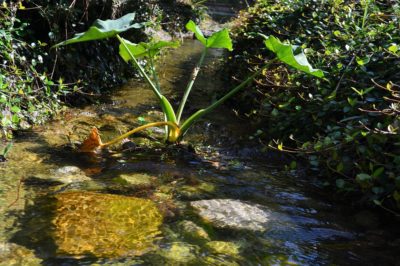 Water Rills and Fountains for Gardens